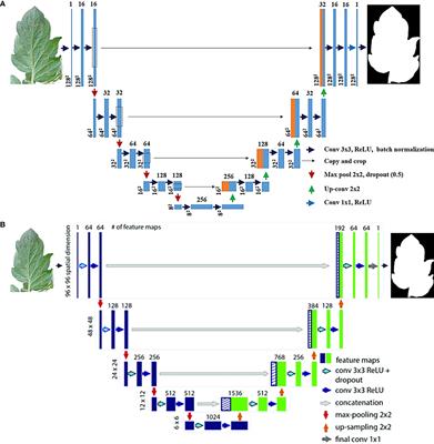 Frontiers | Deep learning-based segmentation and classification of leaf images for detection of ...